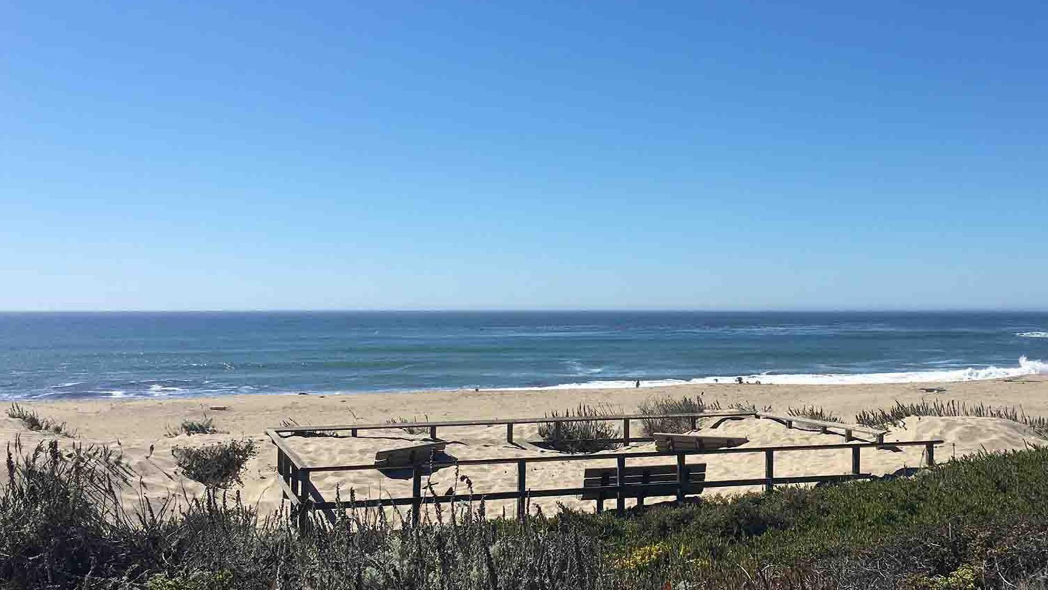 Students Bond Beneath Stars On Overnight Field Trip | University of San ...