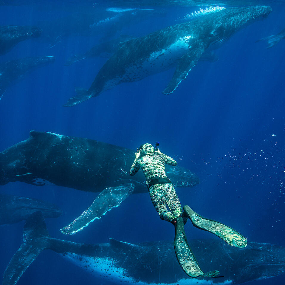 Physics, BS | University of San Francisco